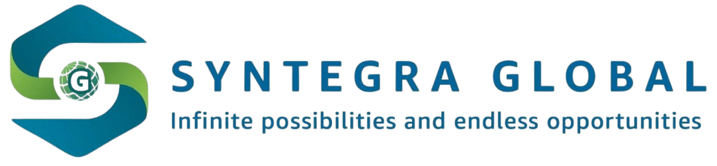 What We Do – @Syntegra